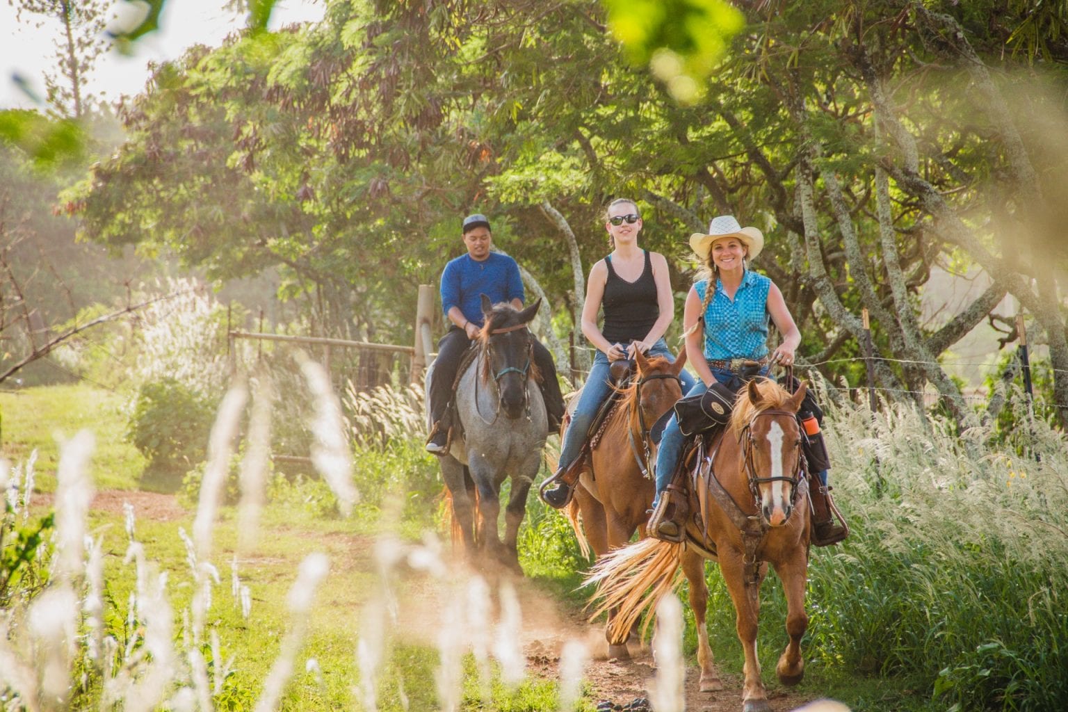 Horseback Rides | Gunstock Ranch | Horseback Riding & Tours in Oahu