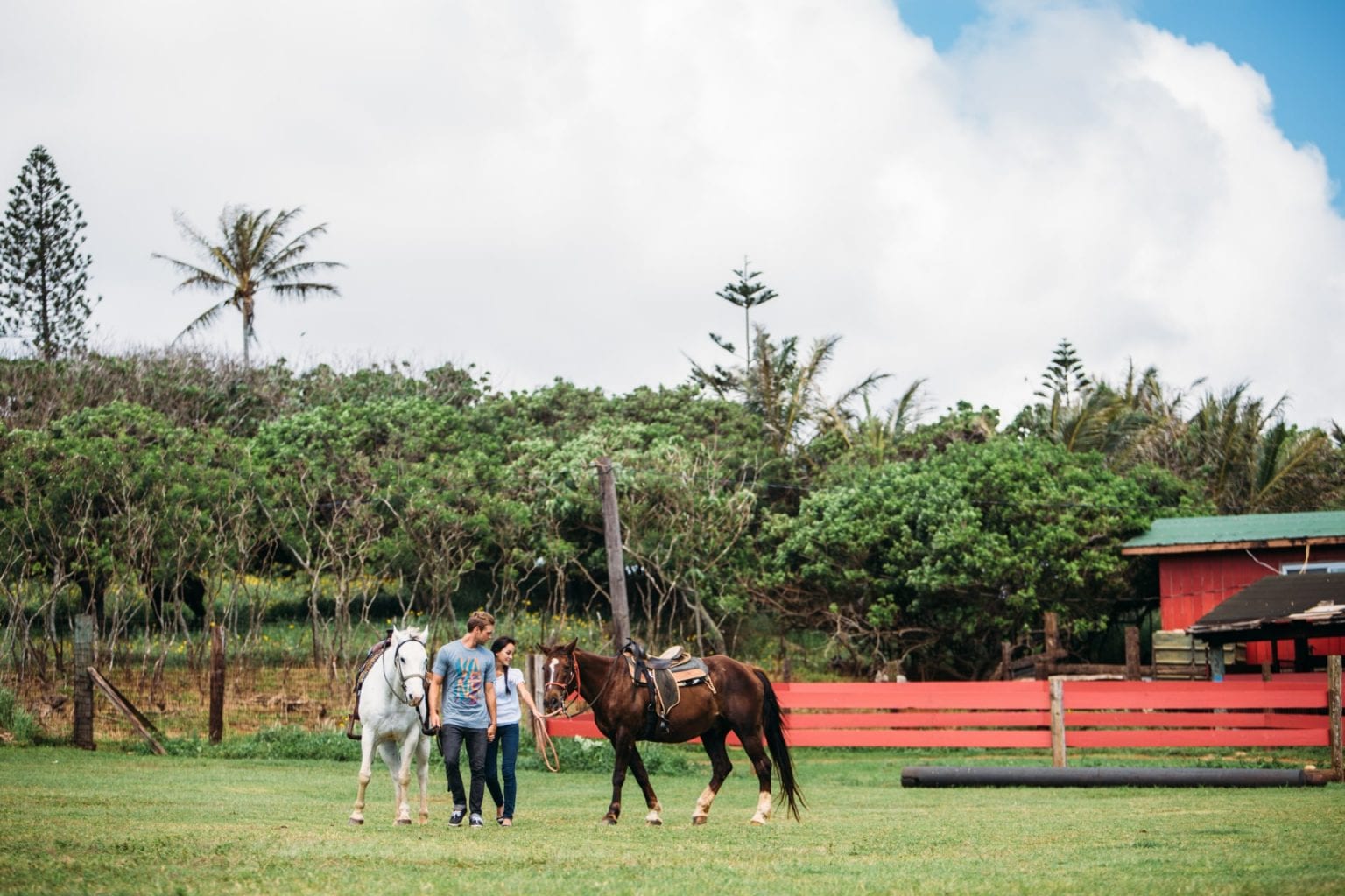 Horseback Rides | Gunstock Ranch | Horseback Riding & Tours in Oahu