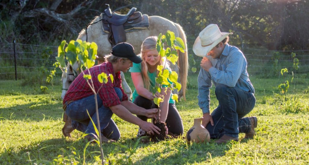 Gunstock Ranch | Horseback Riding & Eco-Tours in Oahu