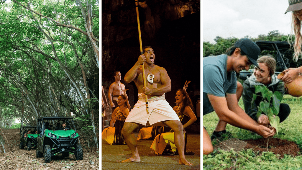 Gunstock Ranch | Horseback Riding & Eco-Tours in Oahu