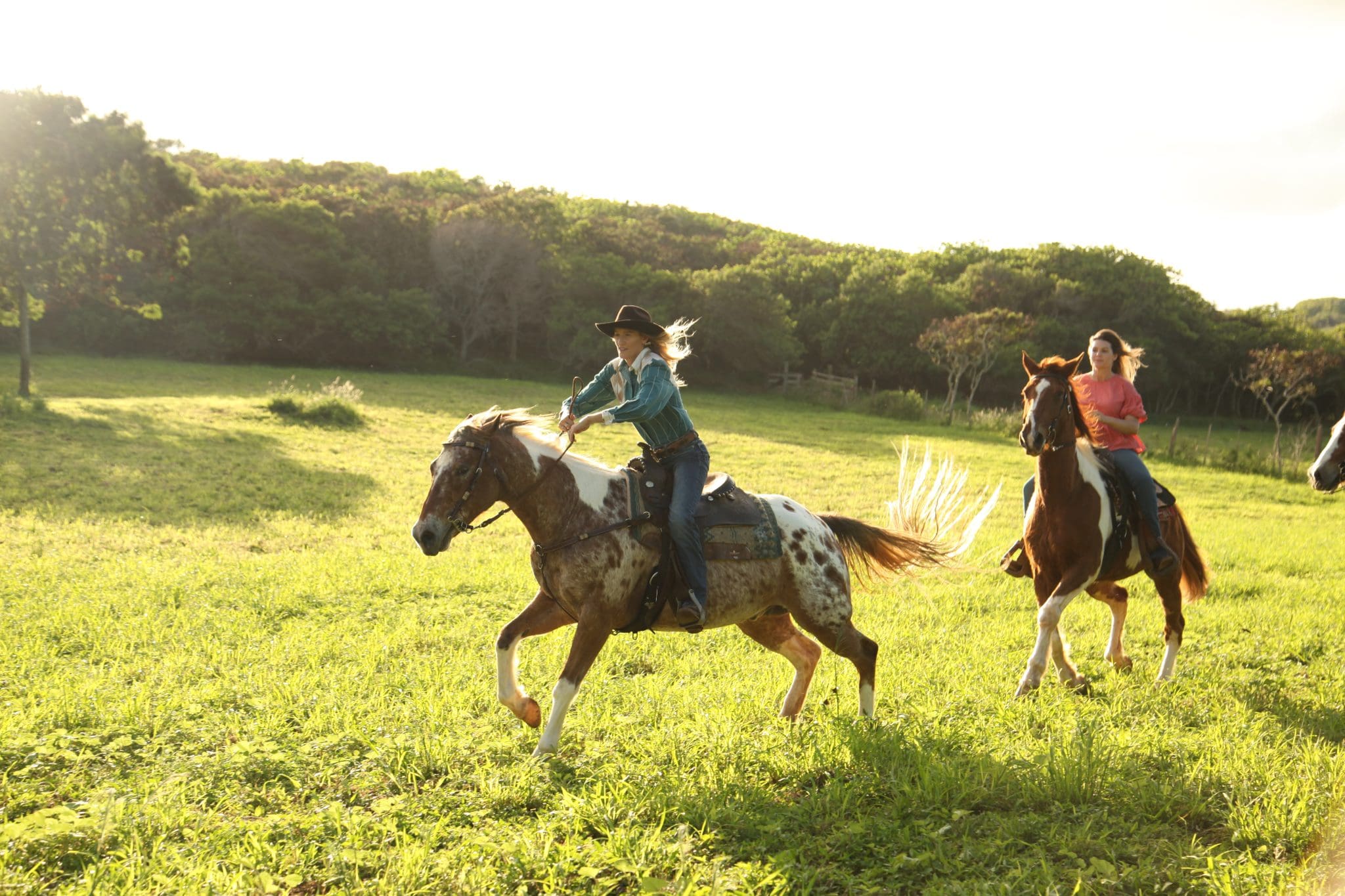 Gunstock Ranch | Horseback Riding & Eco-Tours in Oahu